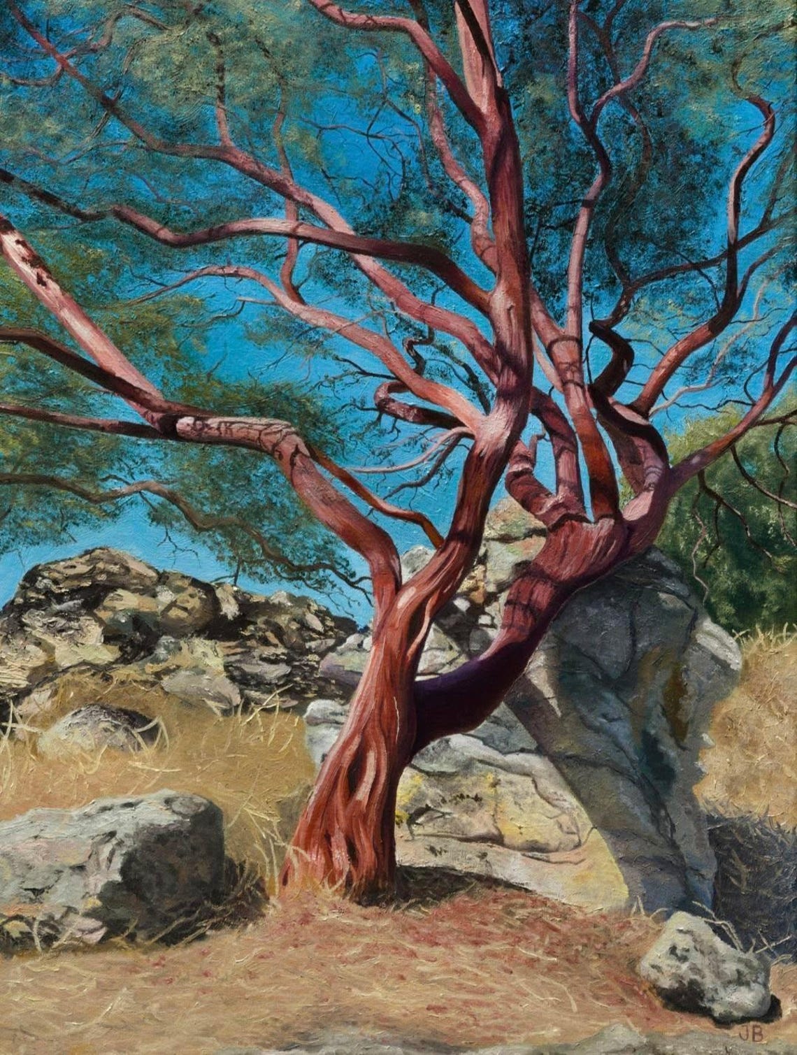 Manzanita Tree Art Print Desert Landscape Realism Oil Painting ...