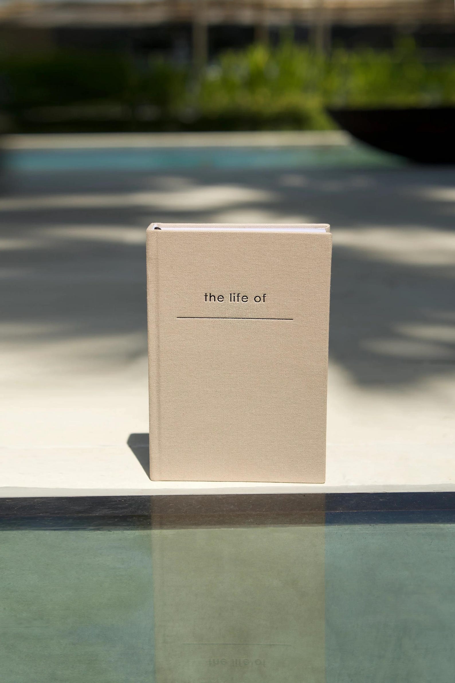 Guided Goal Setting Journal - Daily Planner, Wellness Journal ...