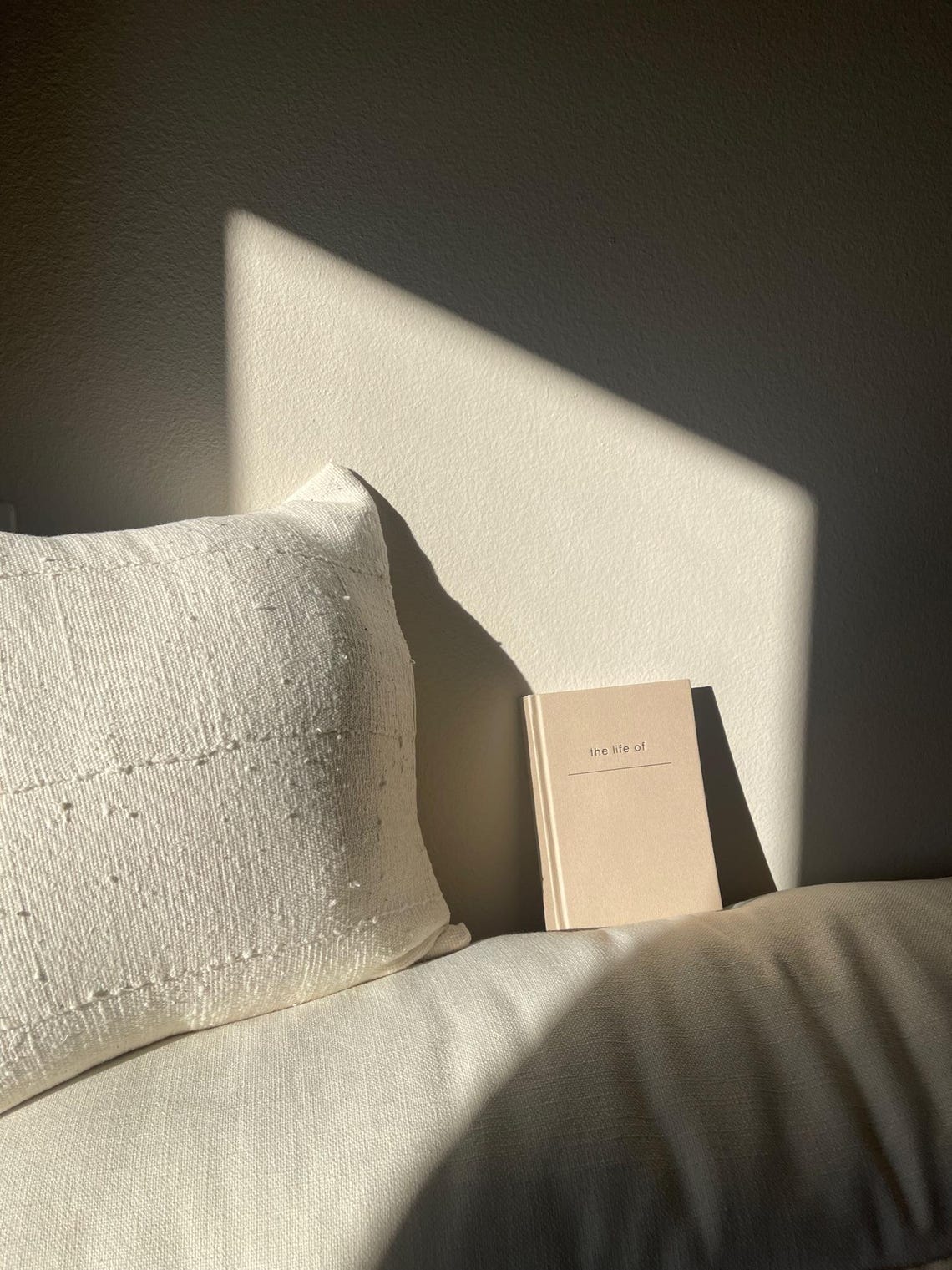 Guided Goal Setting Journal - Daily Planner, Wellness Journal ...