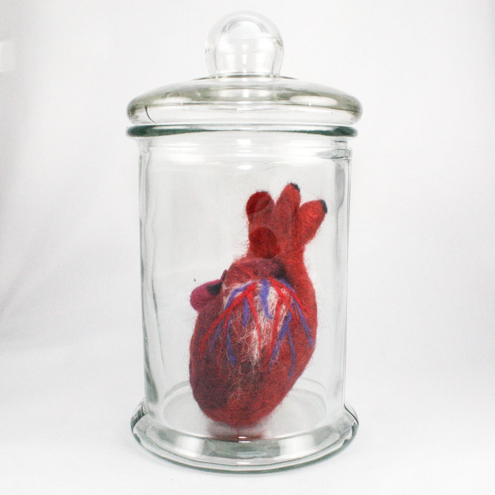 Felted Anatomical Heart human-scale With Apothecary Jar & | Etsy