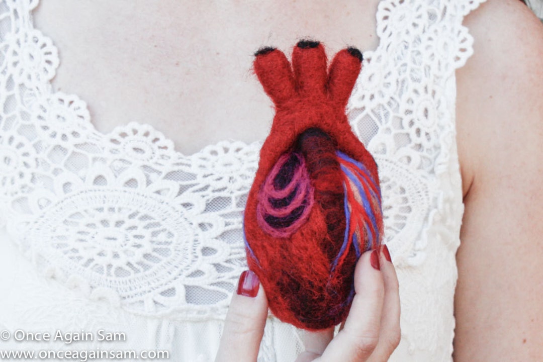 Heartfelt (anatomical Heart - Human Scale) - Etsy