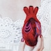 Heartfelt (anatomical Heart - Human Scale) - Etsy