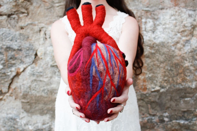 Heartfelt (XL) - Anatomical Heart - Needle Felted Organ - Etsy