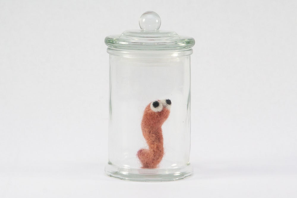 Felted Appendix W/ Personalized Specimen Label Quirky Get - Etsy