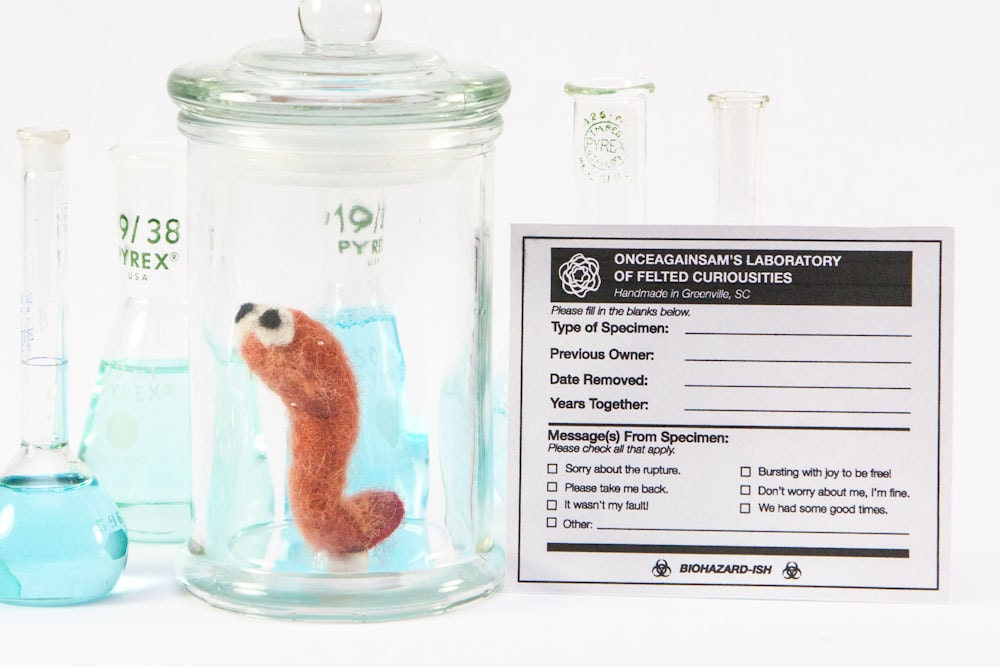 Felted Appendix W/ Personalized Specimen Label Quirky Get - Etsy