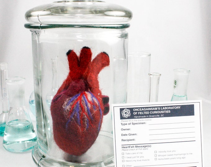 Felted Anatomical Heart human-scale With Apothecary Jar & Personalized ...