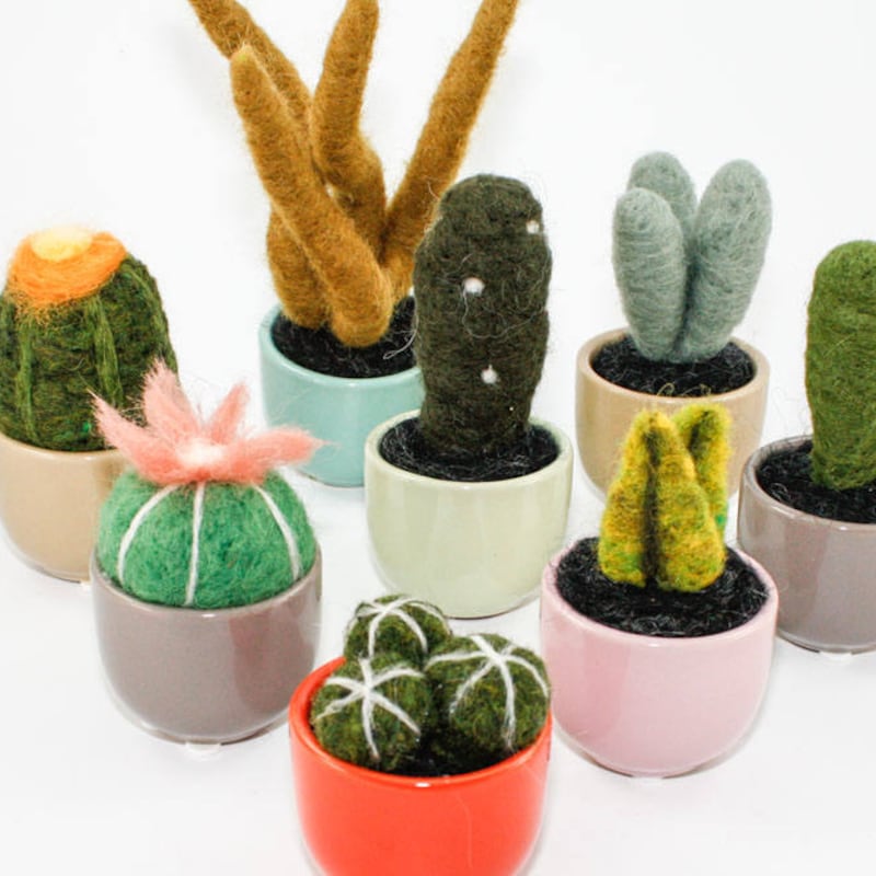 Felt Cactus - Etsy