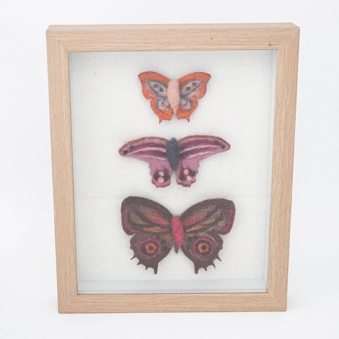 Needle Felted Insect Specimens in Glass Curio Display Box 9x12 Light ...
