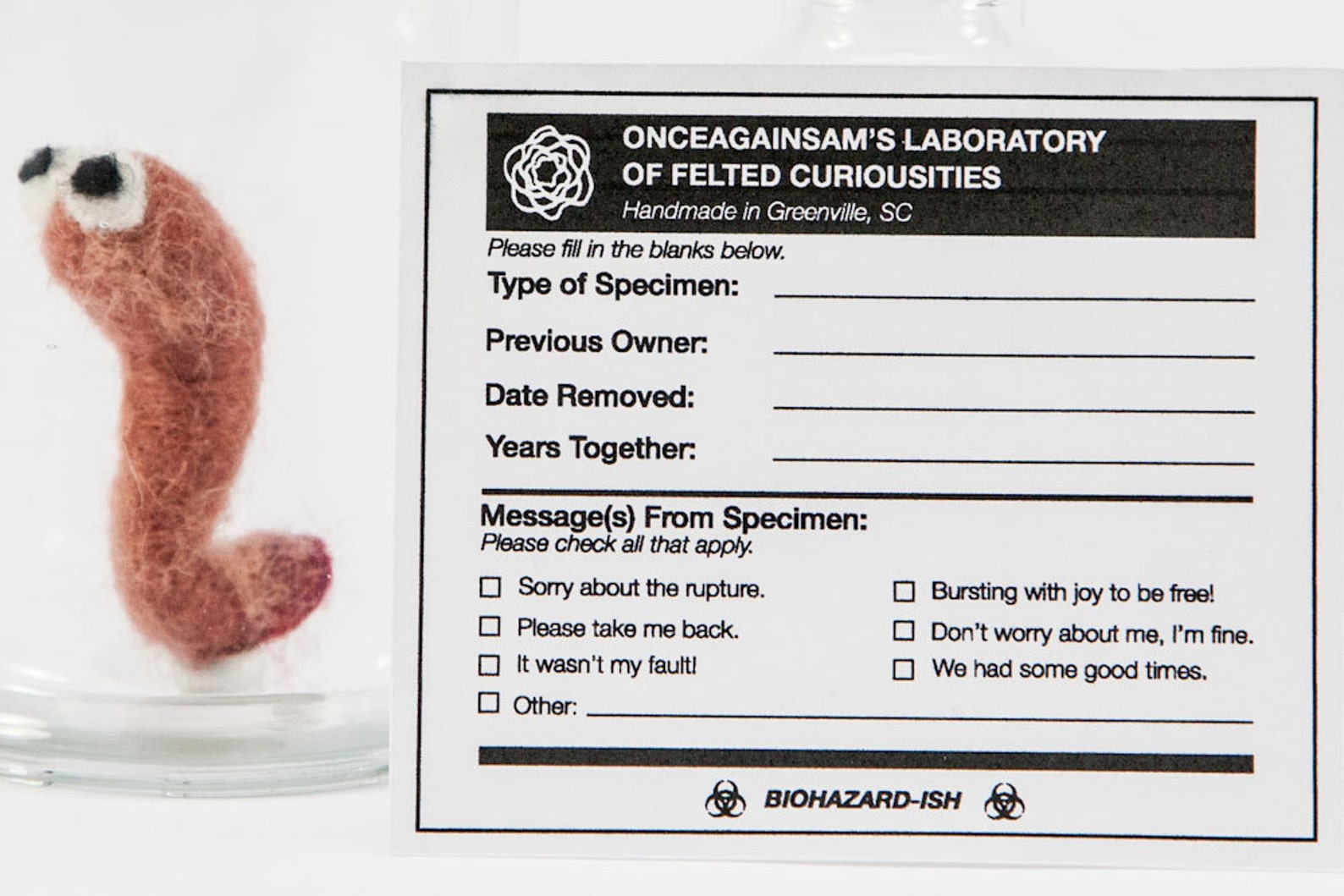 Felted Appendix W/ Personalized Specimen Label Quirky Get - Etsy
