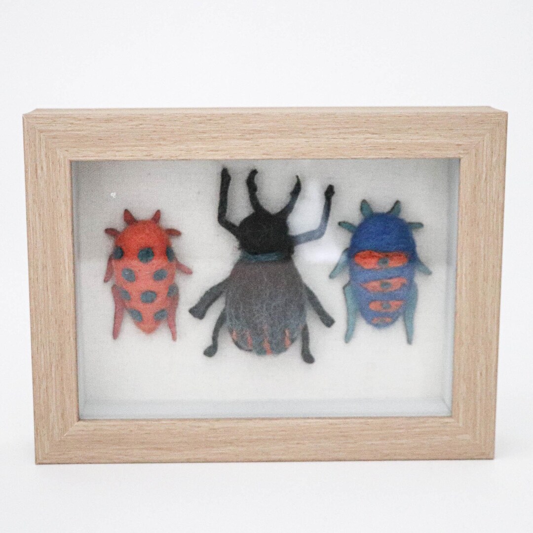 Needle Felted Beetle Specimens in Glass Curio Display Box 6x8 Light ...