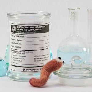 Felted Appendix W/ Personalized Specimen Label - Quirky Get Well Gift ...