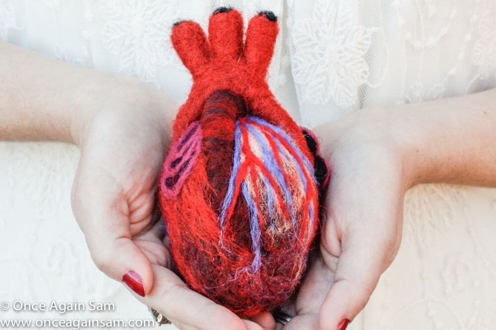 HeartFelt Anatomical Heart Human Scale | Etsy