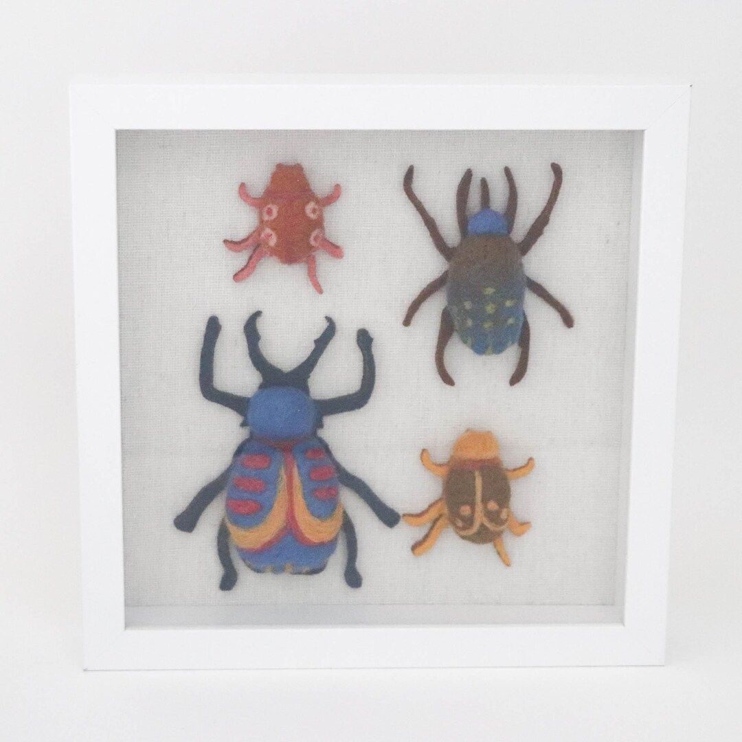 Needle Felted Beetle Specimens in Glass Curio Display Box 10x10 White ...