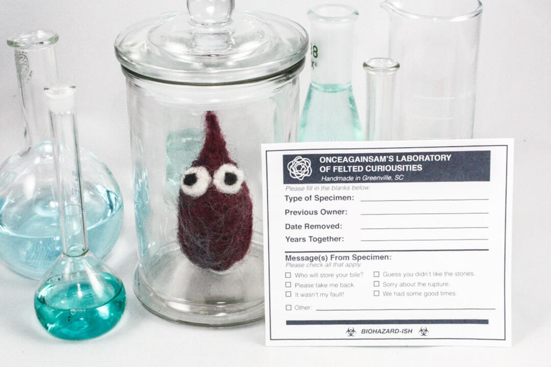 Felted Gallbladder W/ Personalized Specimen Label - Quirky Get Well ...