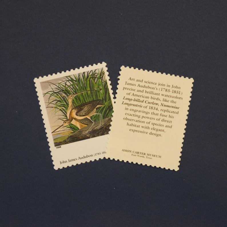 Long-billed Curlew | John James Audubon Stamp | American Artists Stamps ...