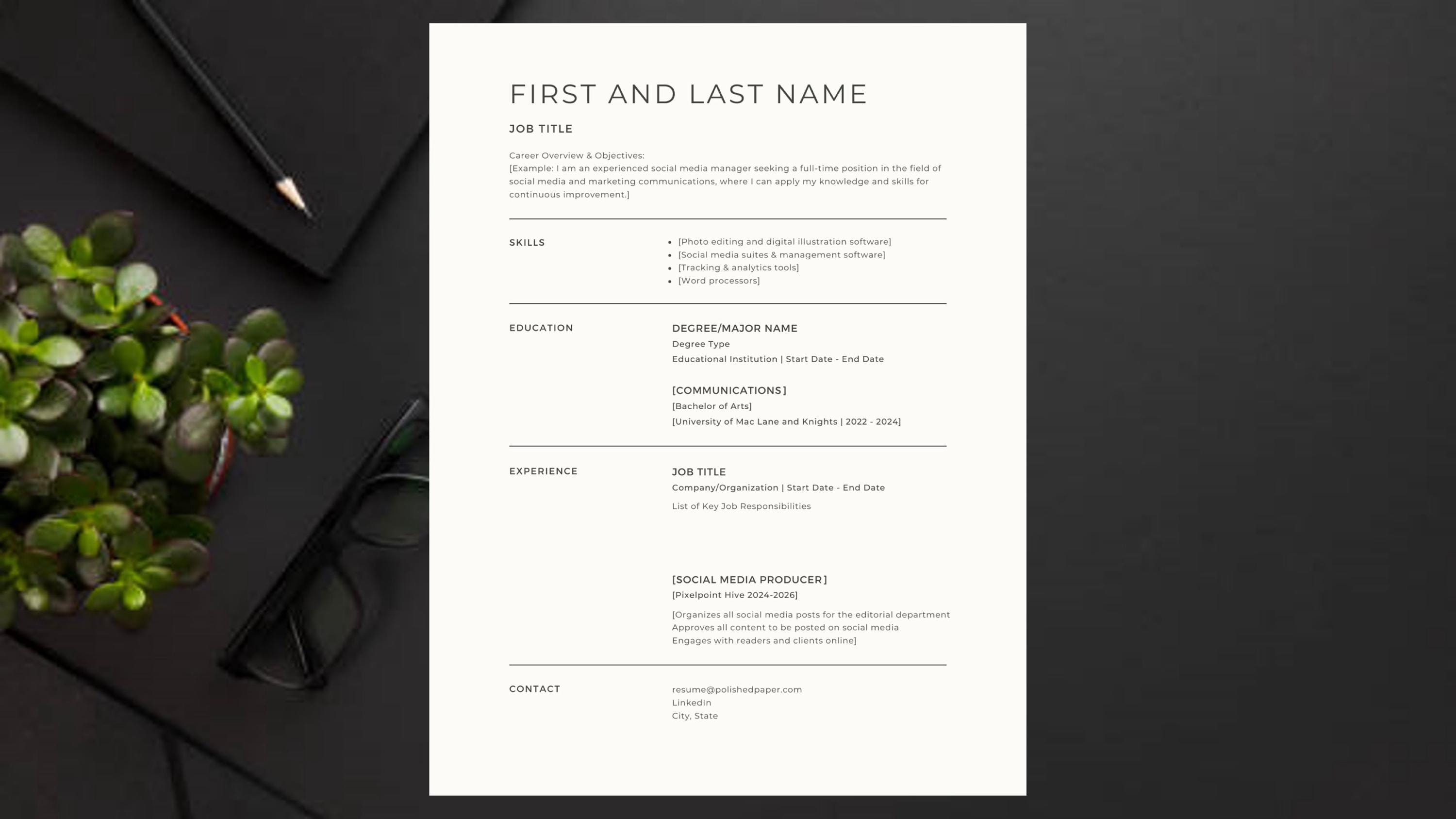 Basic Polished Resume - Etsy