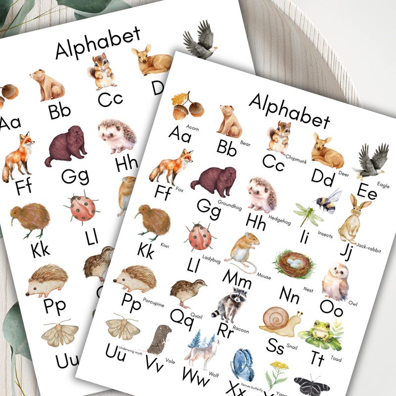 Woodland Alphabet - Etsy