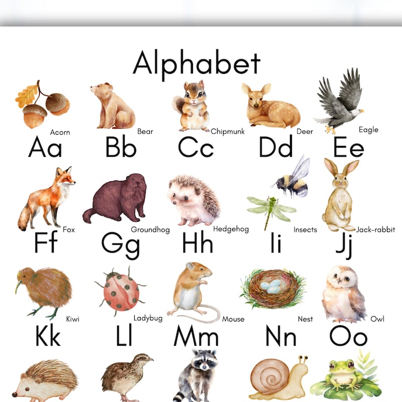 Woodland Alphabet - Etsy