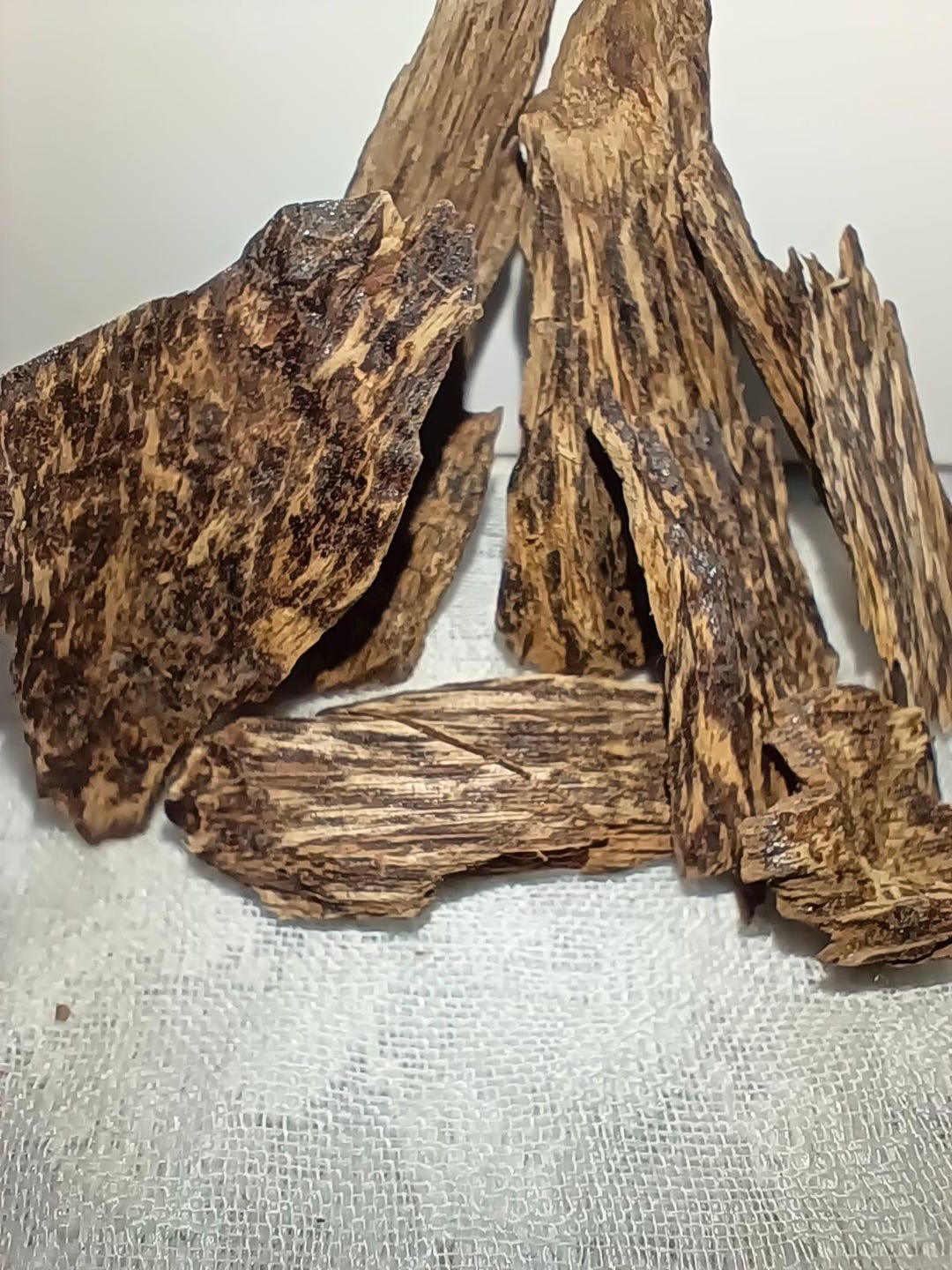 AAAA+++ Sinking Wild Black Kynam|kyara Aq Hirta (dead Tree Harvested ...