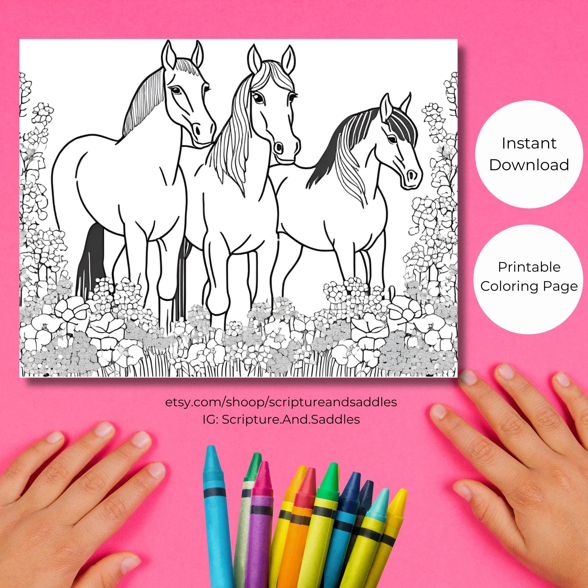 Horse Coloring Page - Printable Equestrian Art - Kids Activity - Horse ...