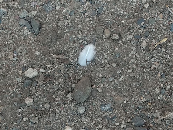 Hope-blank Note Cards - Etsy