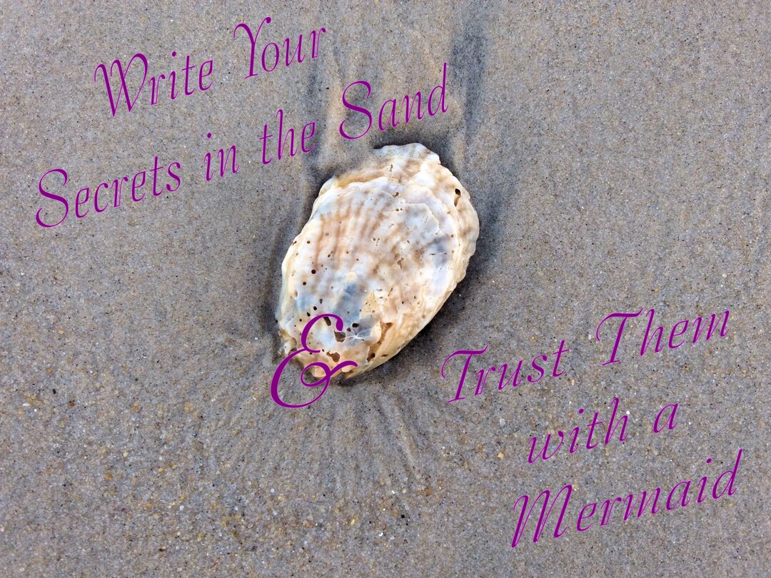Mermaid Quote With Sea Shell - Etsy