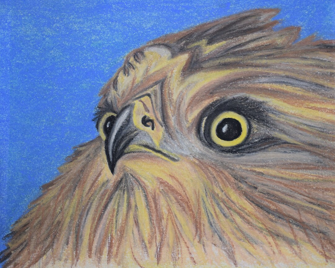 Hawk in Chalk Pastel - Etsy