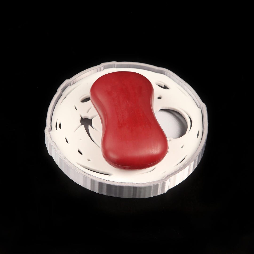 3D Printed Moon Soap Dish STL File for 3D Print - Sponge Holder 3D ...