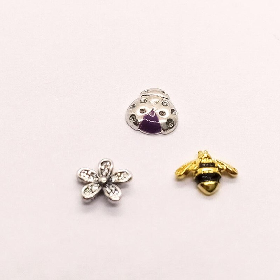 Pandora S.silver Bee Ladybug Flowers Petite Floating Locket Charms Set ...