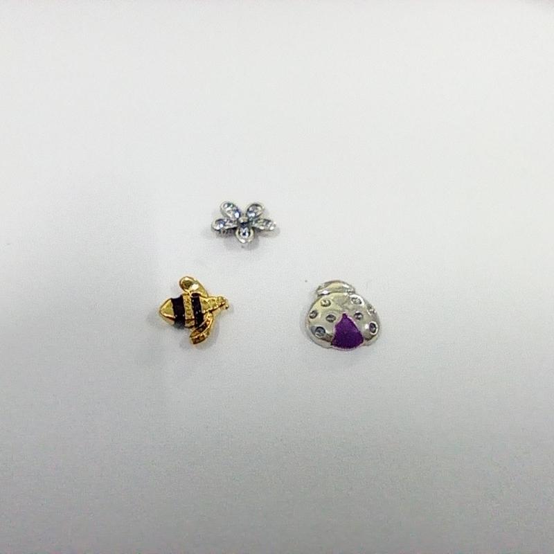 Pandora S.silver Bee Ladybug Flowers Petite Floating Locket Charms Set ...
