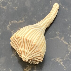Southern Yellow Pine Lightning Whelk Shell - Etsy