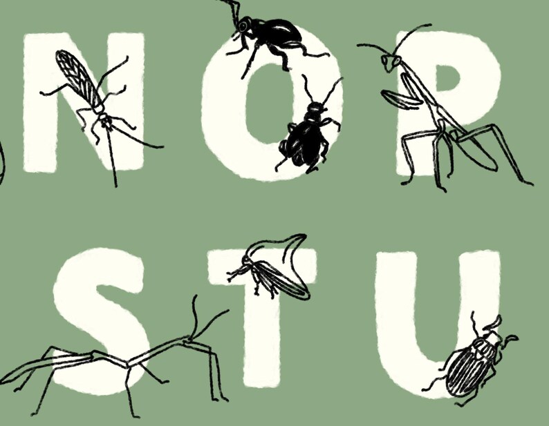 Insect Alphabet Wall Art | Boy Nursery Art | Girl Nursery Art | Play ...