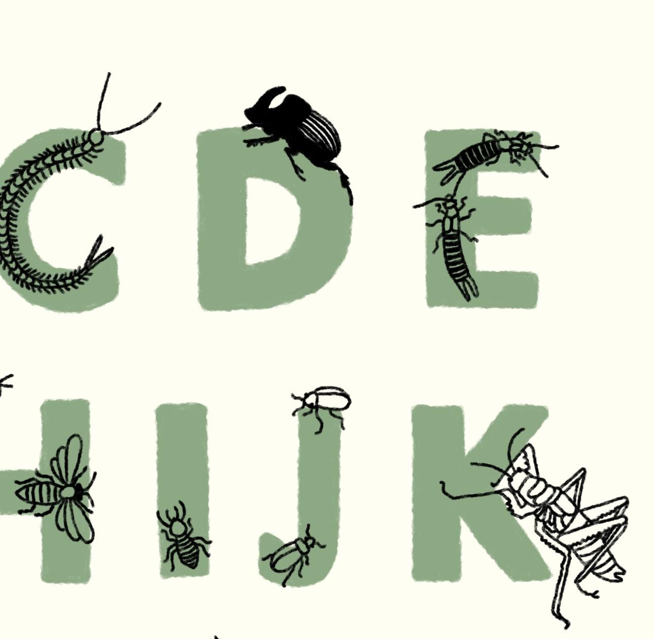 Insect Alphabet Wall Art | Boy Nursery Art | Girl Nursery Art | Play ...