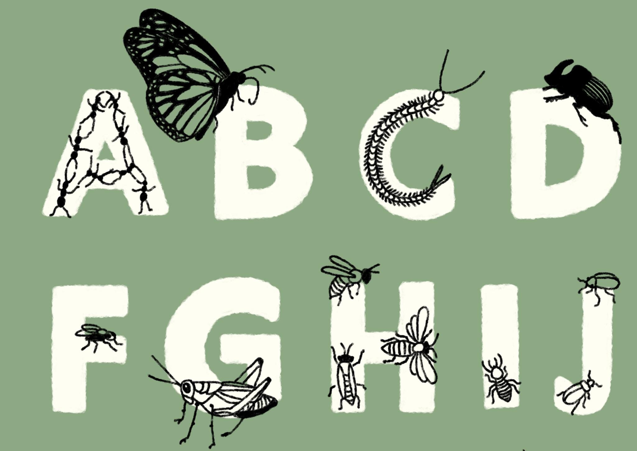 Insect Alphabet Wall Art | Boy Nursery Art | Girl Nursery Art | Play ...