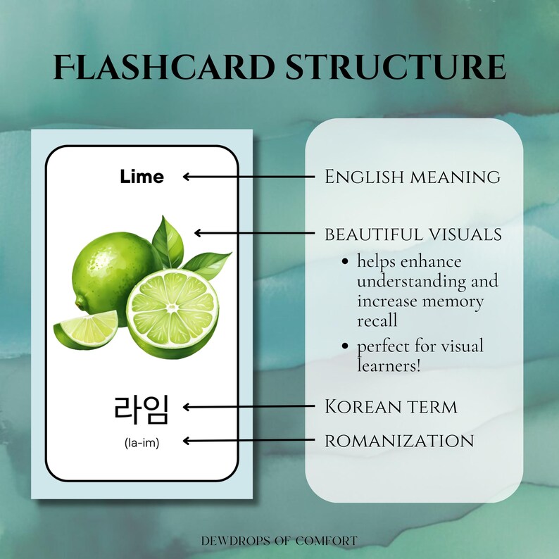 Korean Fruit Vocabulary Flashcard Bundle With Writing Practice and Self ...