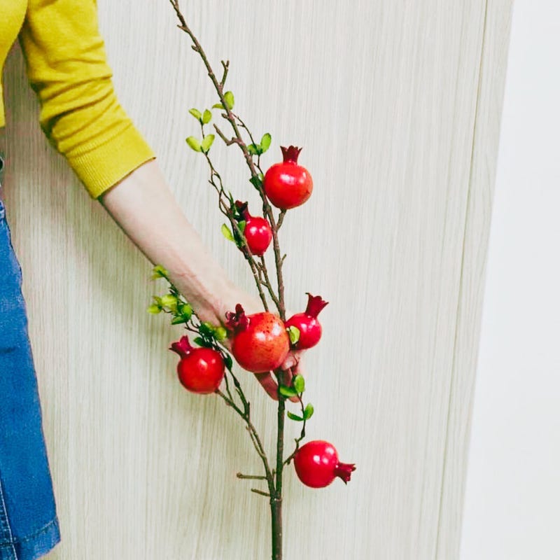 Pomegranate Fruit - Etsy