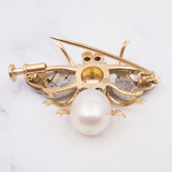 Antique exceptional 18k & platinum insect brooch w/di… - Gem