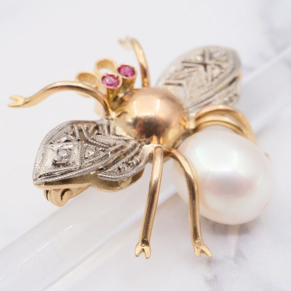 Antique exceptional 18k & platinum insect brooch w/di… - Gem