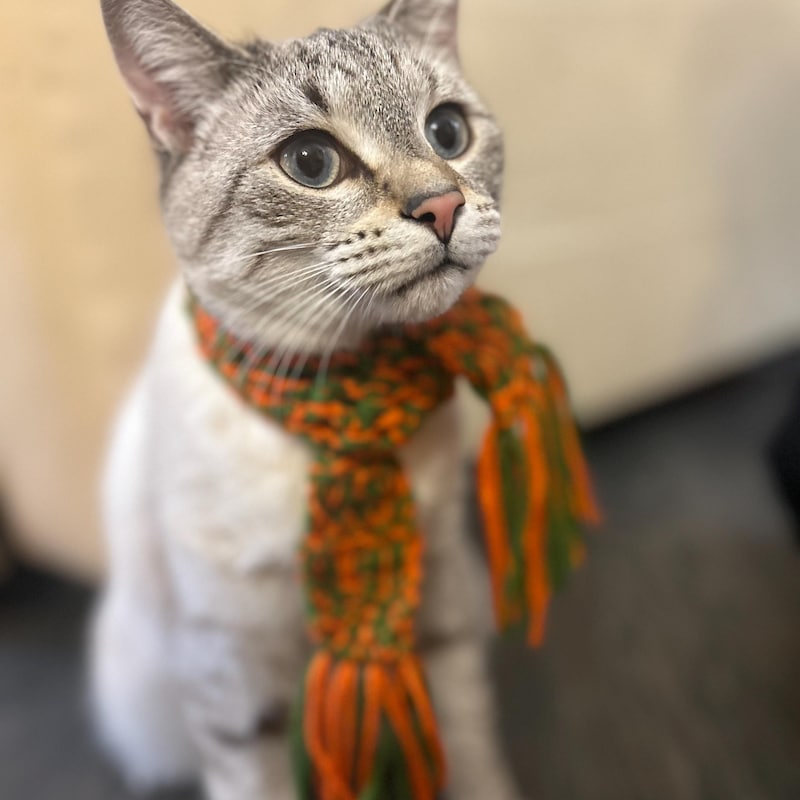 Cat Scarf - Etsy