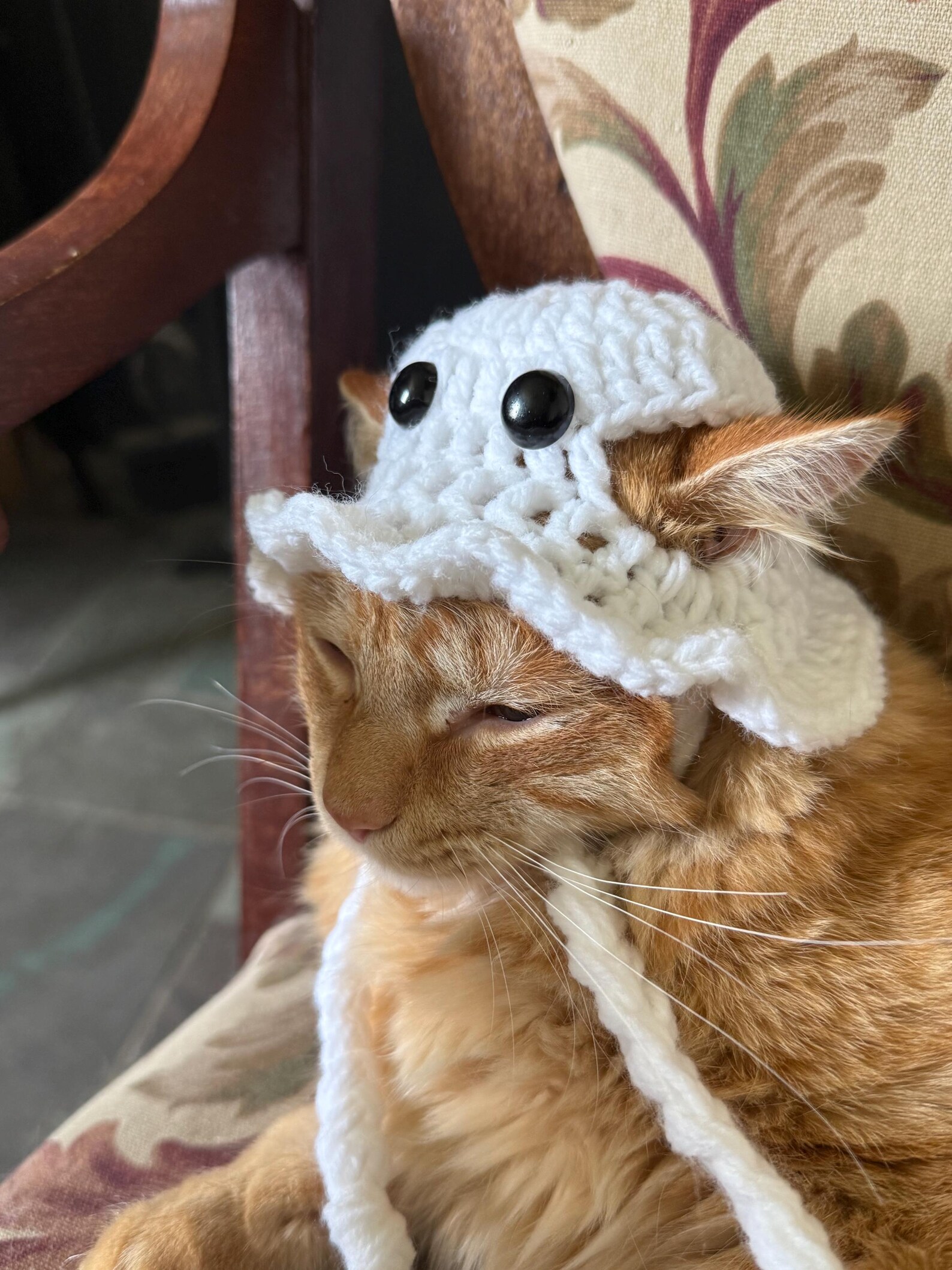 Crocheted Ghost Hat for Cat | Ghost Crocheted Hat for Cat | Halloween ...