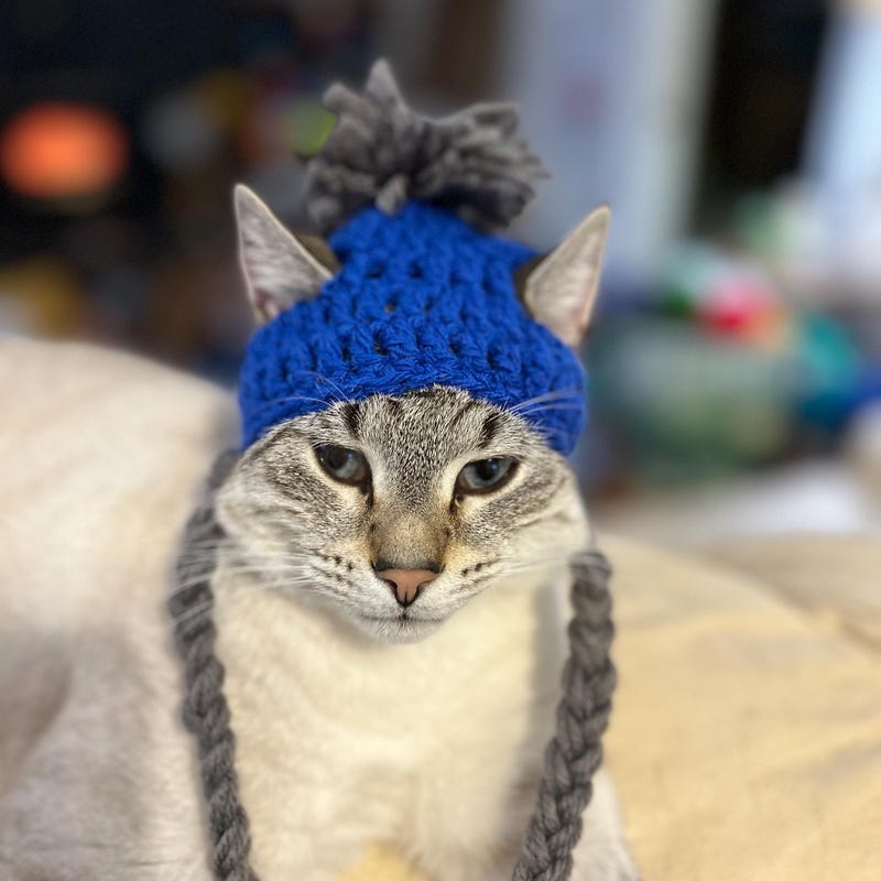 Cat Accessories - Etsy