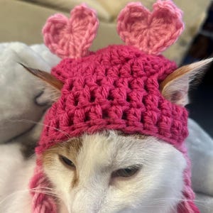 Crocheted Valentine’s Day Heart Cat Hat | Crocheted Hat for Cat | Cat ...