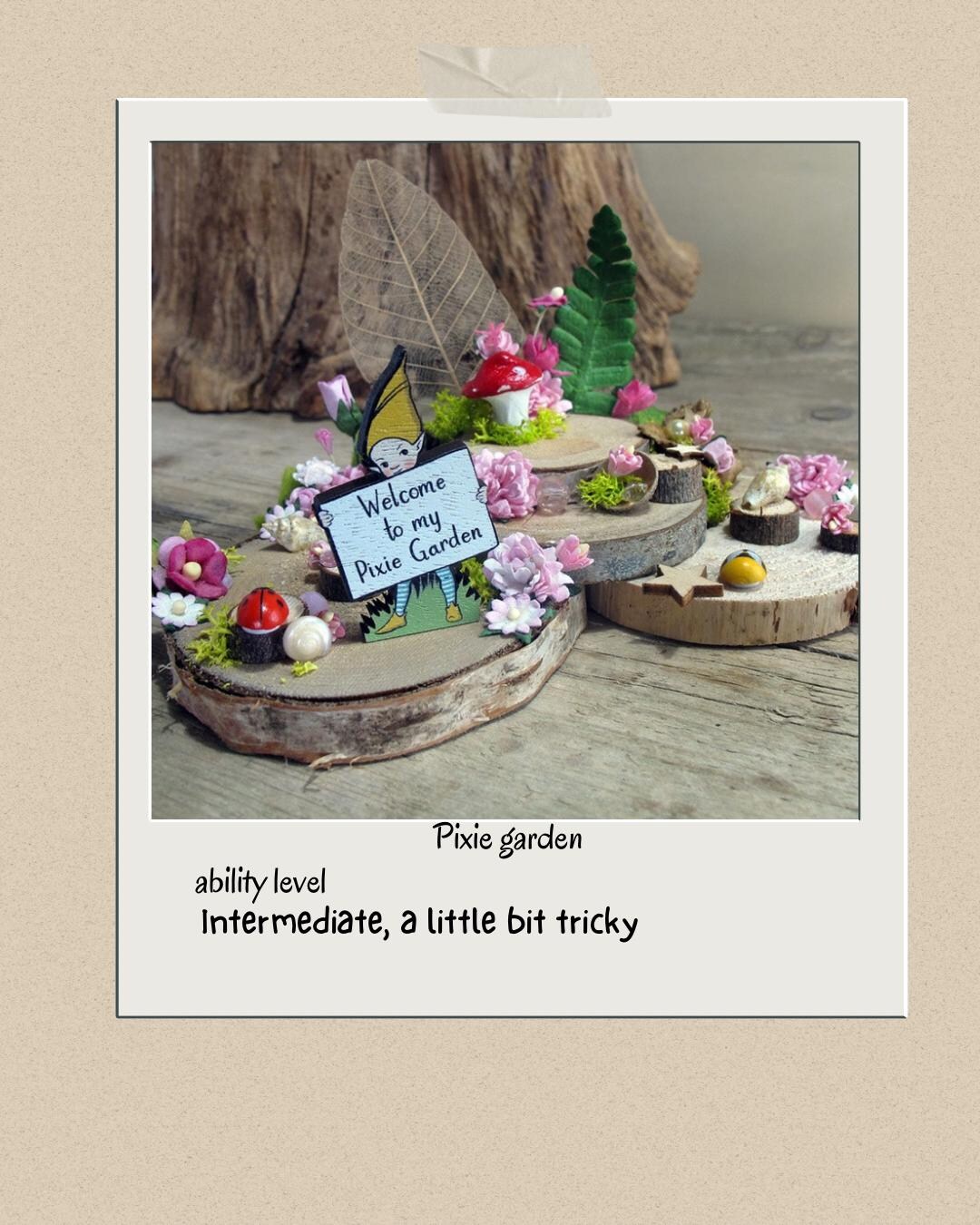 Diy Fairy Garden Kit in Collaboration With 'pixie Land" With Limited ...