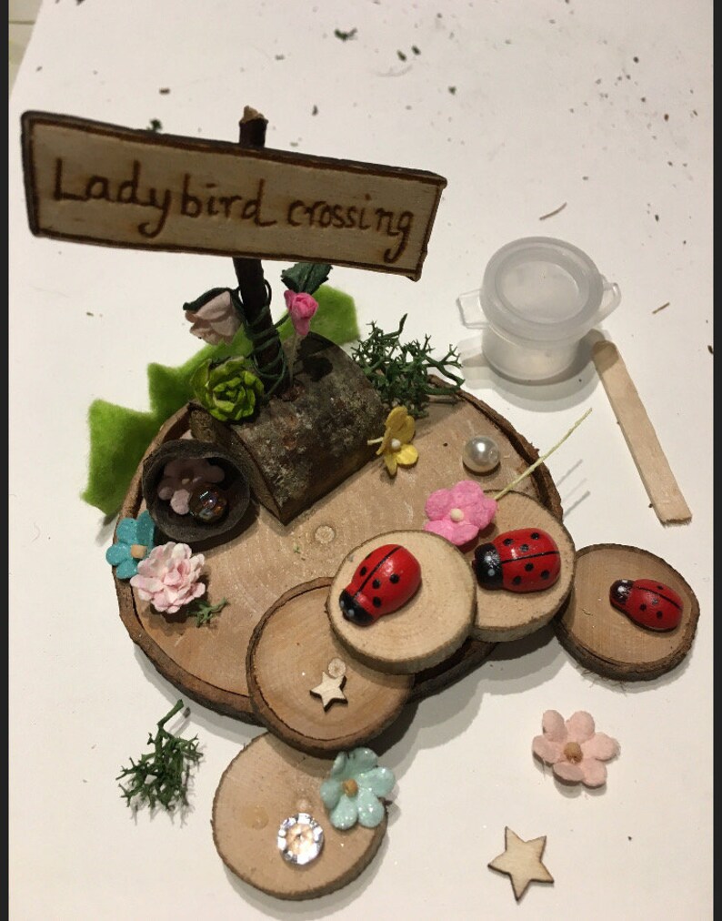 Ecotiny Little DIY Garden With " Lady Bird Crossing Sign " Kit - Etsy