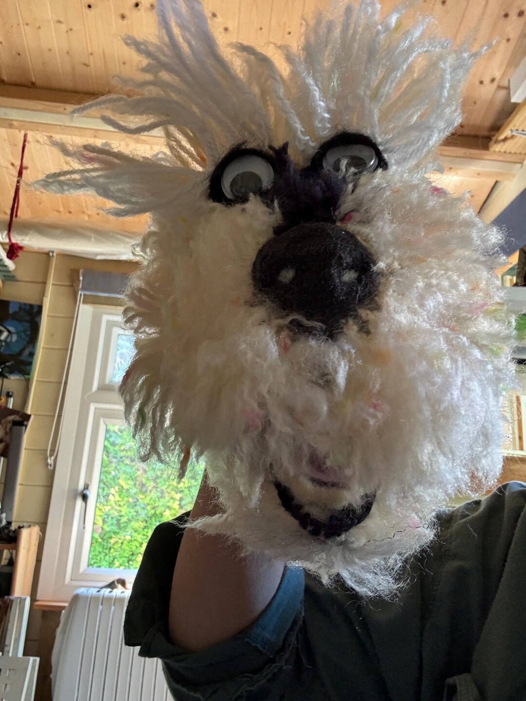 Google Hand Puppet. A Unique Character With Googley Eyes and a Fluffy ...