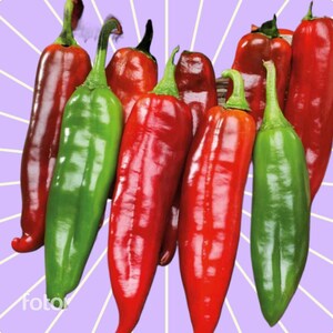 Garden Peppers Combo 8 Amazing Peppers at A Great Price Free Shipping ...