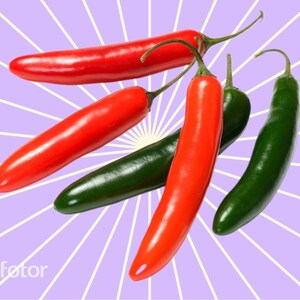 Garden Peppers Combo 8 Amazing Peppers at A Great Price Free Shipping ...