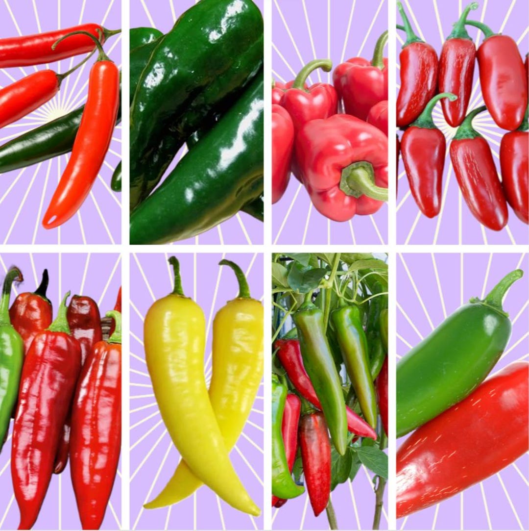 Garden Peppers Combo 8 Amazing Peppers at A Great Price Free Shipping ...