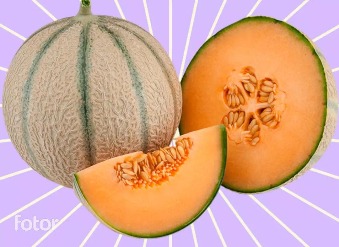 Rare French Charentais Melon Seeds Sweet Creamy - Etsy