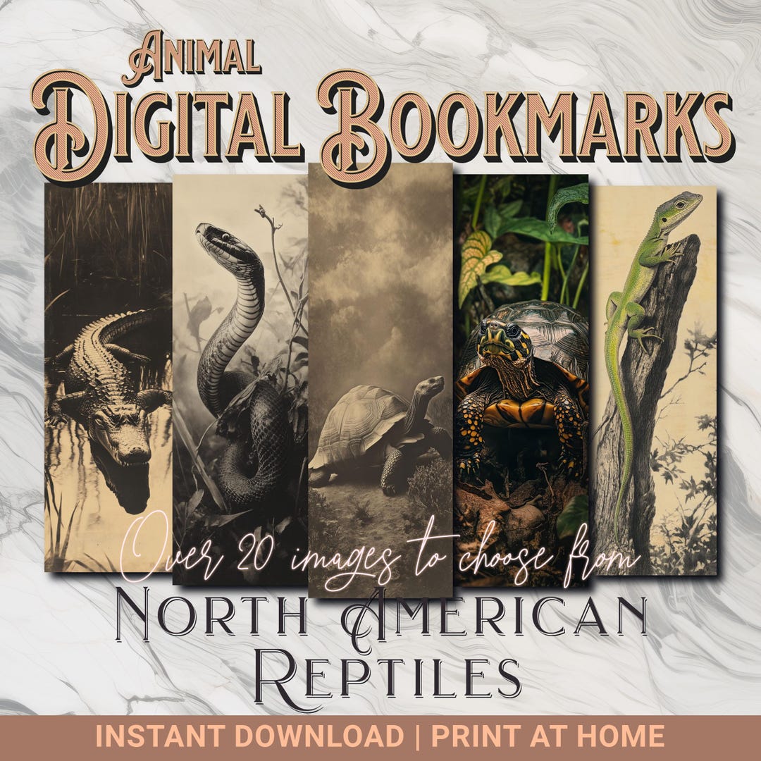 Printable REPTILES Bookmark Digital Download for Teachers Classroom ...